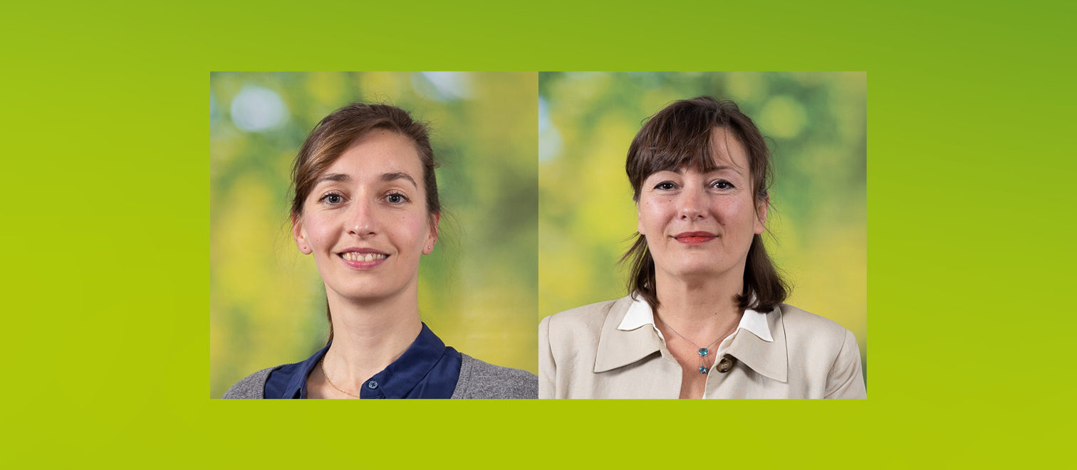 Des nouvelles du CM: le groupe des Vert.e.s évolue - Les Vert·e·s de la ...